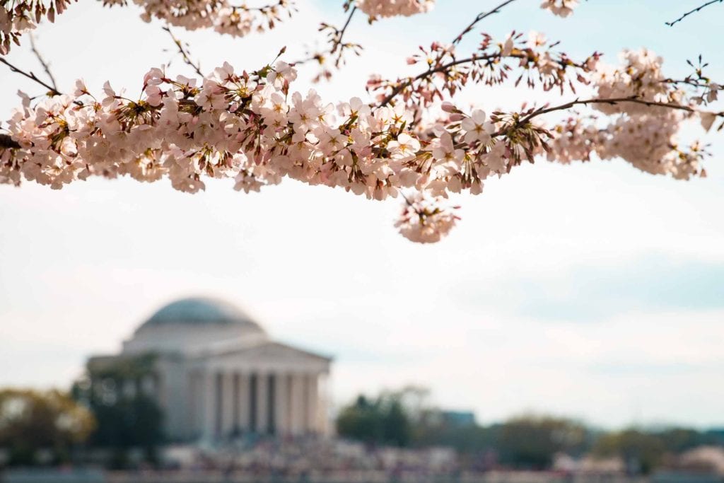 Washington D.C. Travel Tips and Secrets from a Native - Tortuga